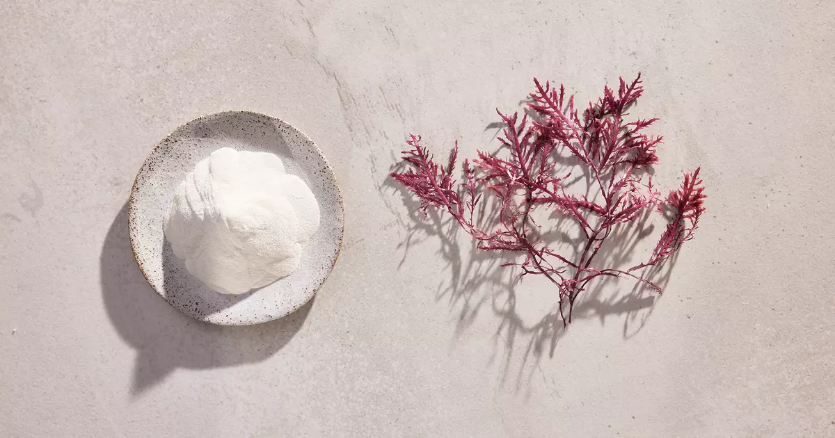 Agar-Agar Gelling agent Red algae Norevo